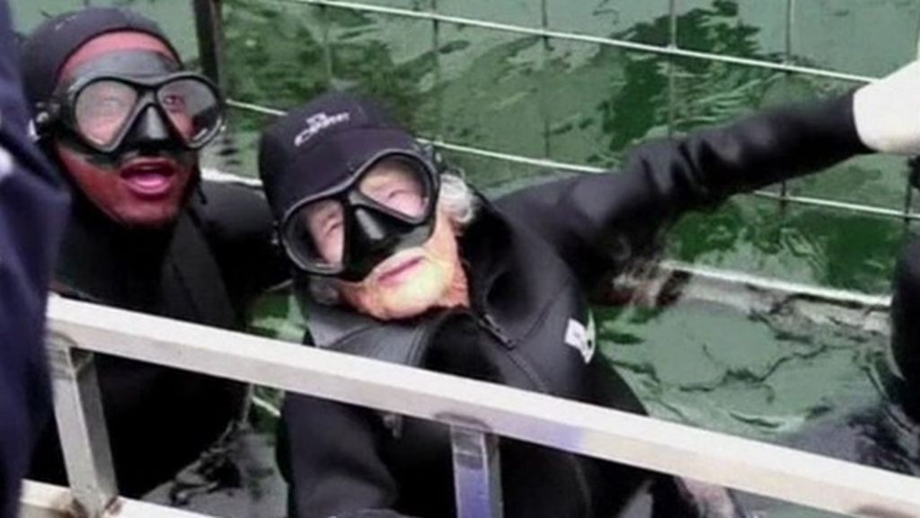 Skydiving 100-year-old now tries diving with sharks - BBC News