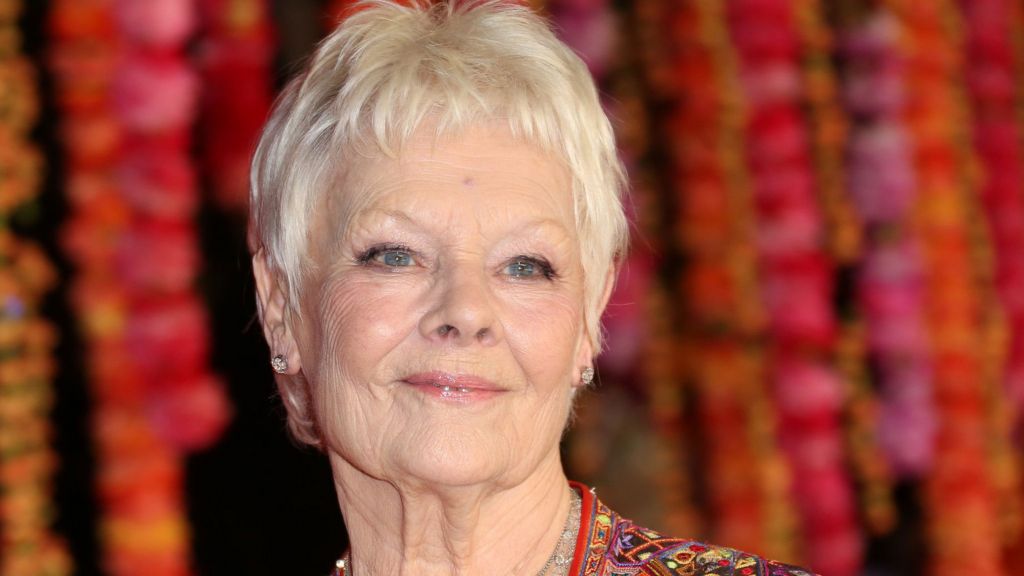 Dame Judi Dench joins cast of election night drama - BBC News