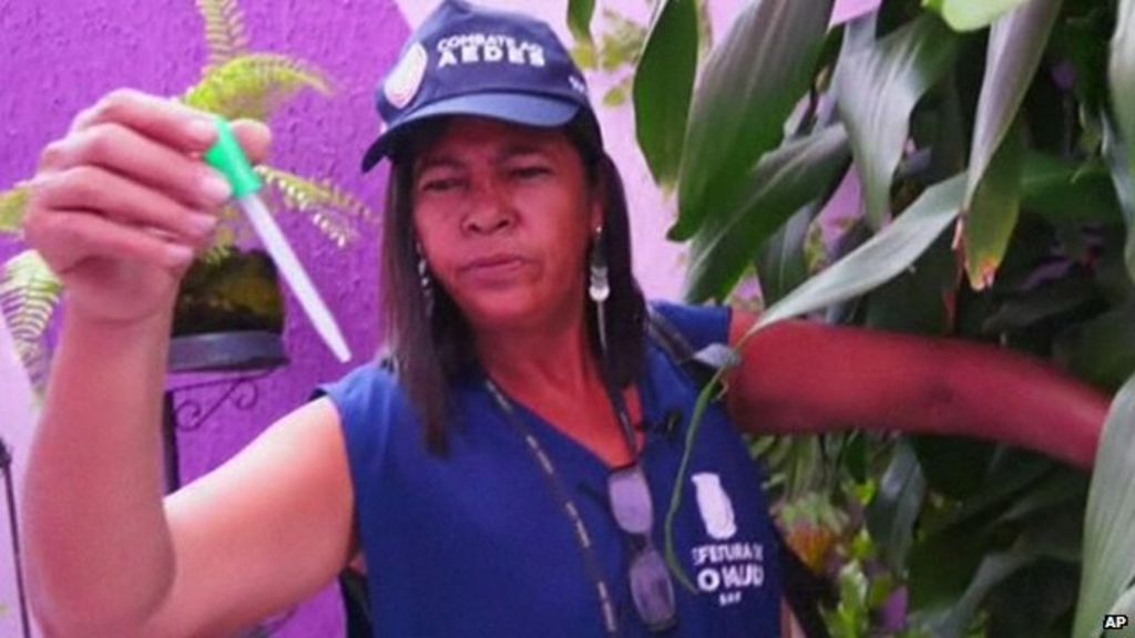 Brazil: Fighting dengue fever in Sao Paulo - BBC News