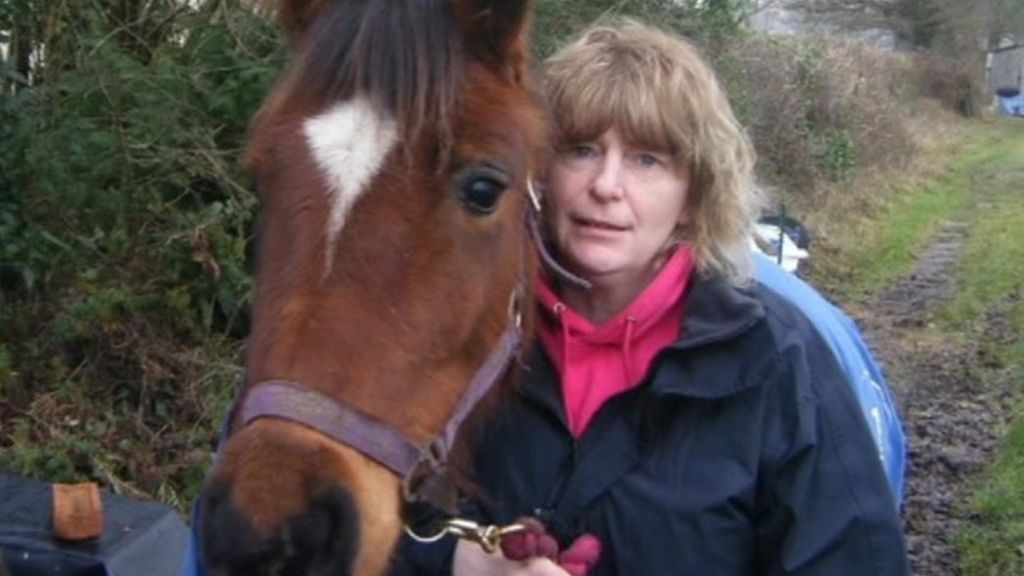 Pennie Davis murder plot 'deliberately targeted' victim - BBC News