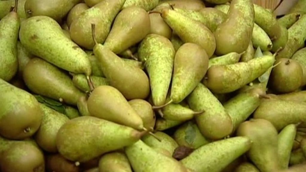 Kent orchard spurs pear industry revival - BBC News