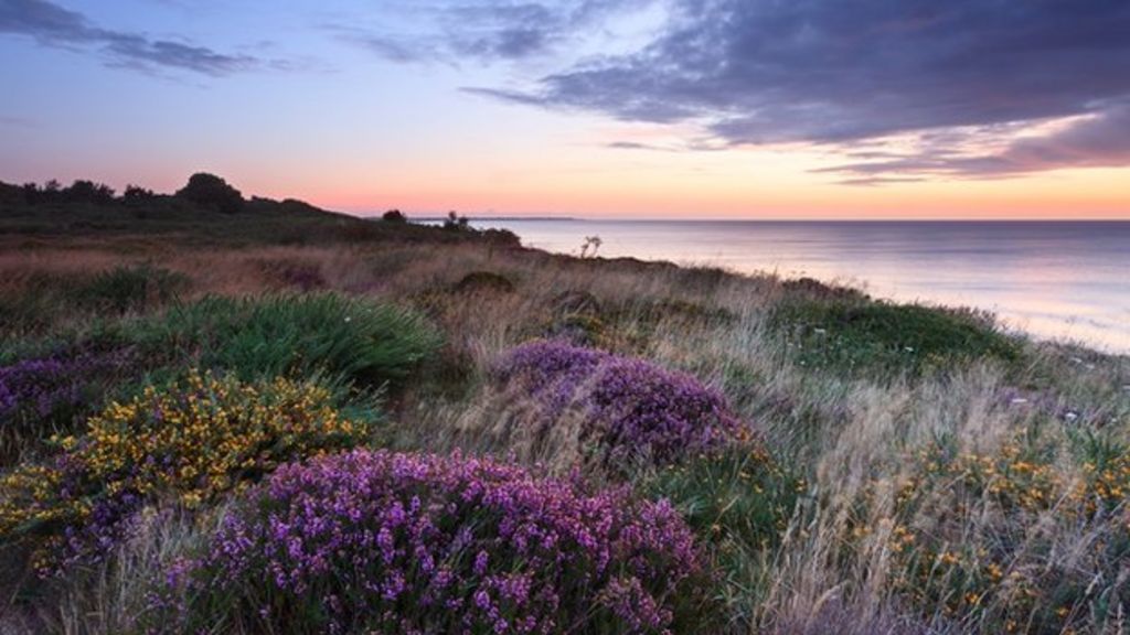 Dunwich heath land bought by National Trust - BBC News
