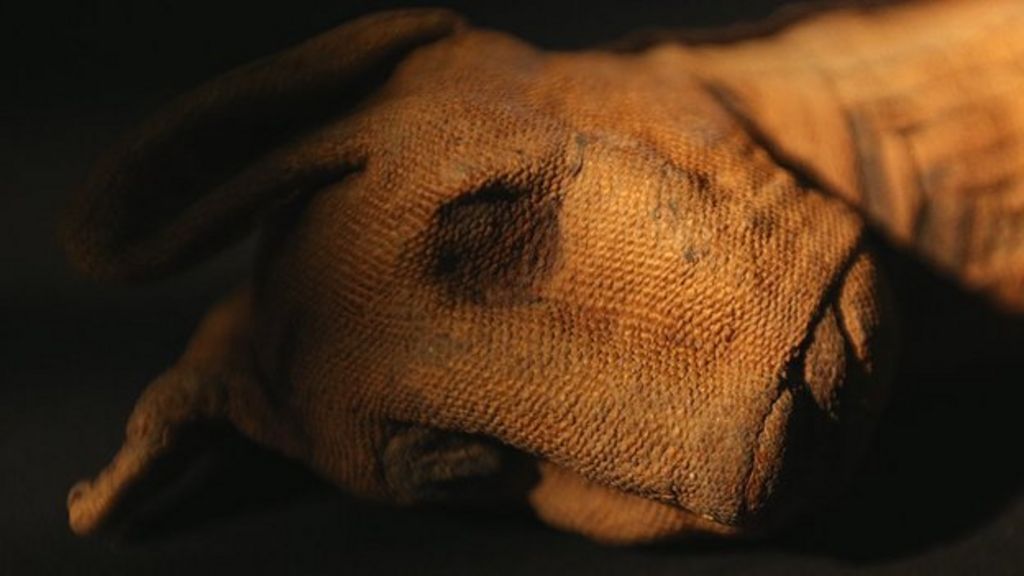 Egypt's animal mummy 'scandal' revealed - BBC News