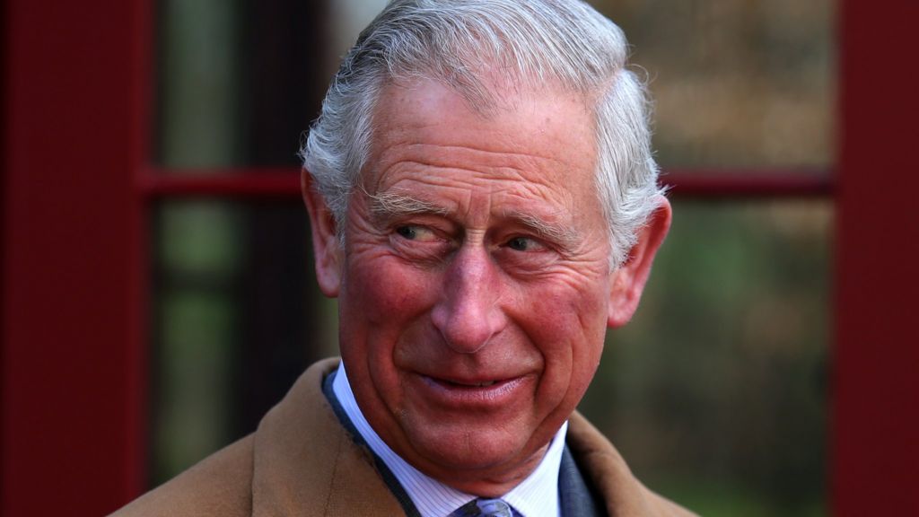 Prince Charles letters published - BBC Newsround