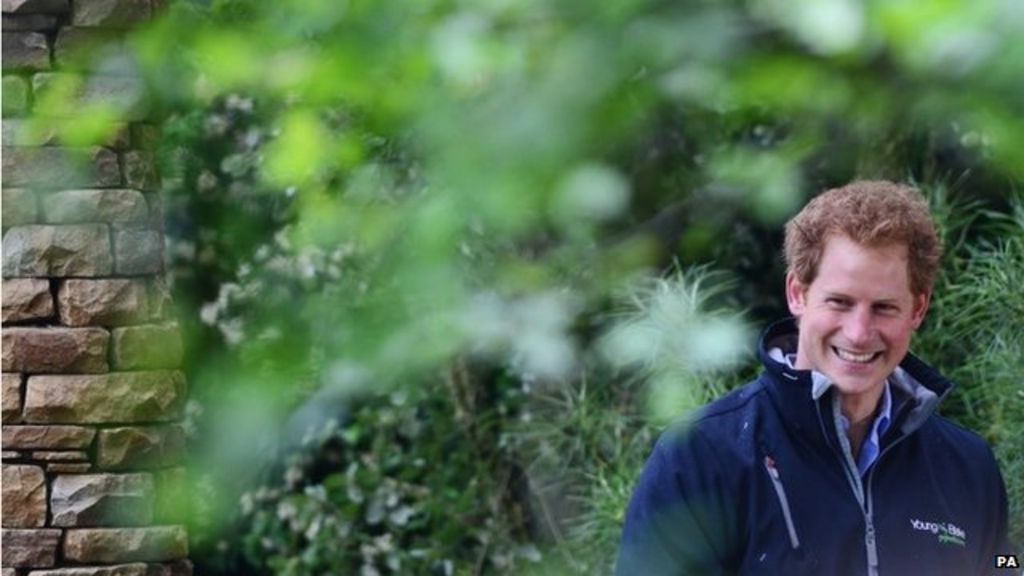 Prince Harry: Sentebale Chelsea Flower Show garden 'fantastic' - BBC News