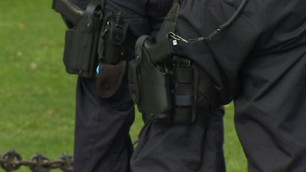 Public support Dyfed-Powys Police officers carrying guns - BBC News