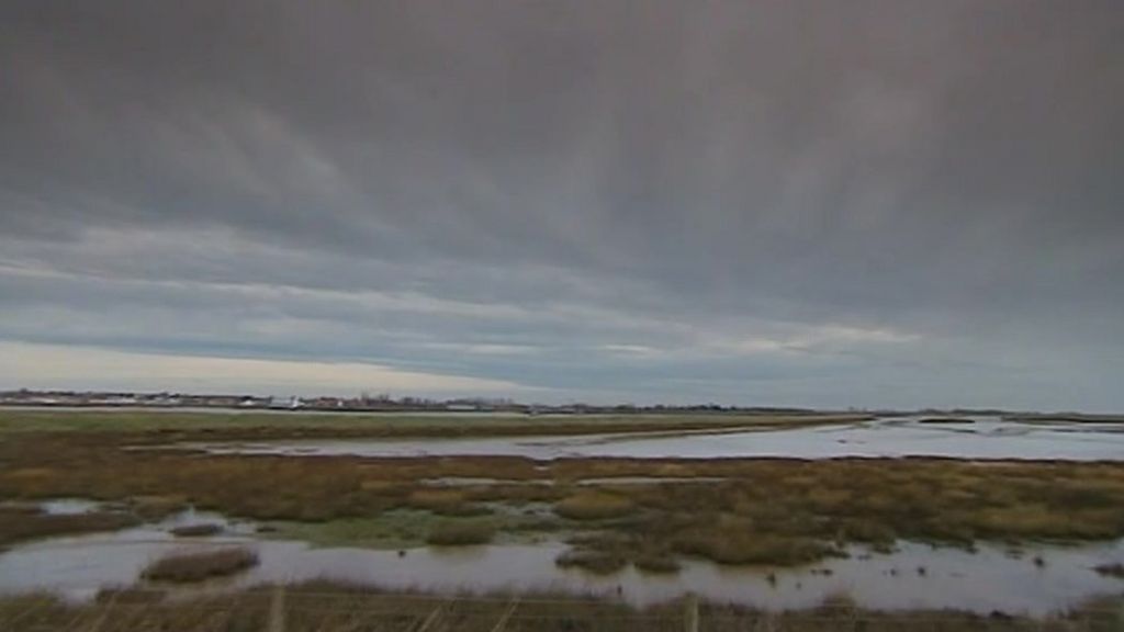 Wallasea Island: Man-made nature reserve explained in 60 seconds - BBC News