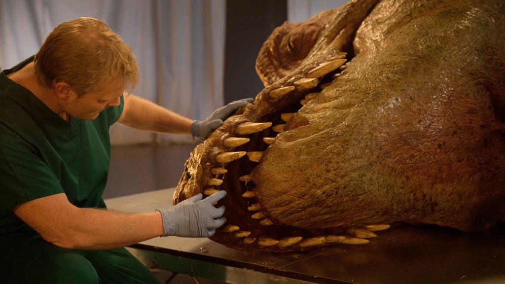 Scientists perform giant T-Rex autopsy - BBC Newsround
