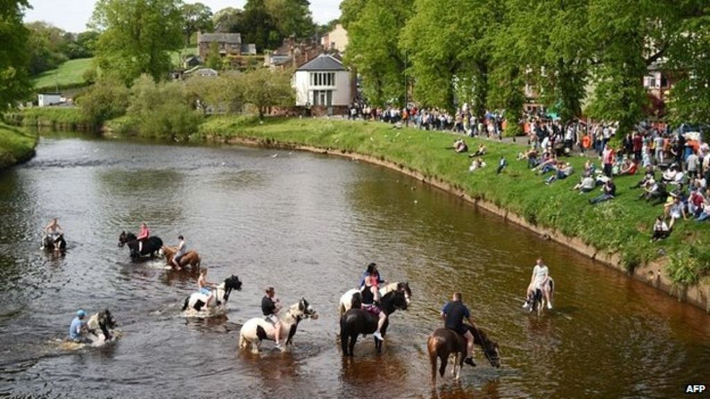 Appleby Horse Fair: Two horses killed while 'racing' - BBC News