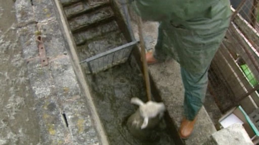 MP Jessica Morden calls for inquiry into sheep dip poisoning - BBC News