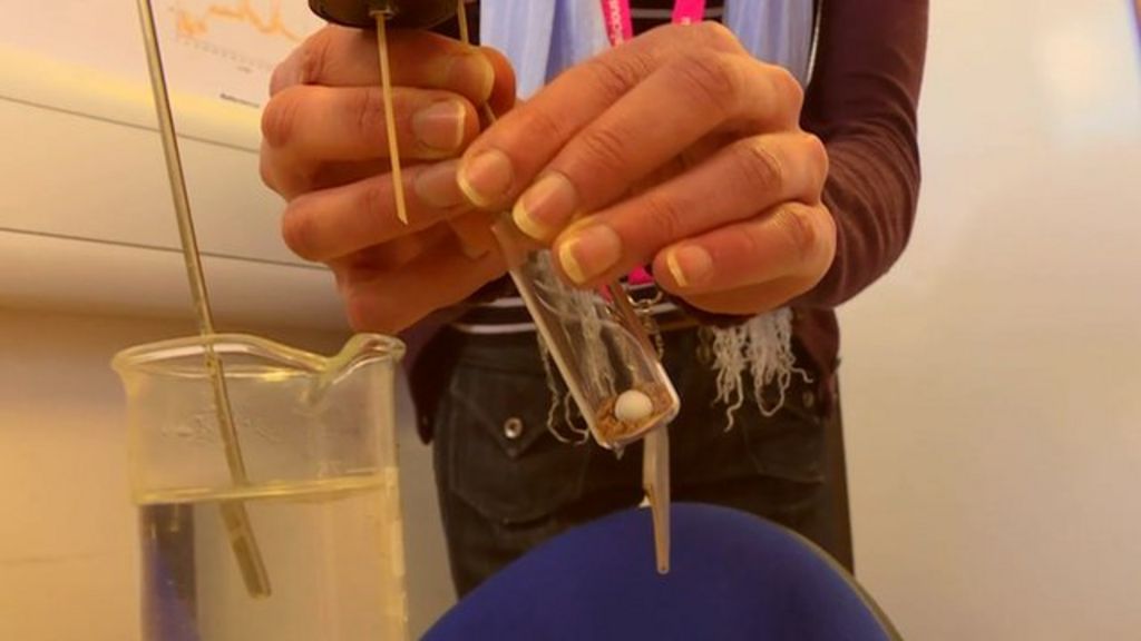 The artificial nose sniffing out flavours - BBC News