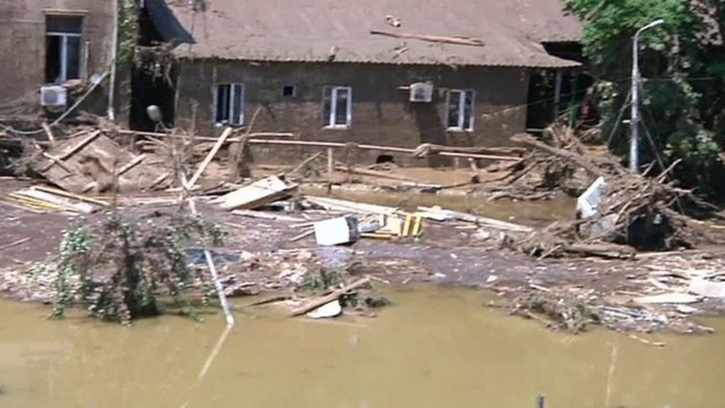 Devastation at flooded Georgia zoo - BBC News
