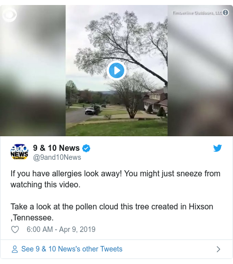 Pollen clouds shroud parts of US south-east as allergies spike - BBC News