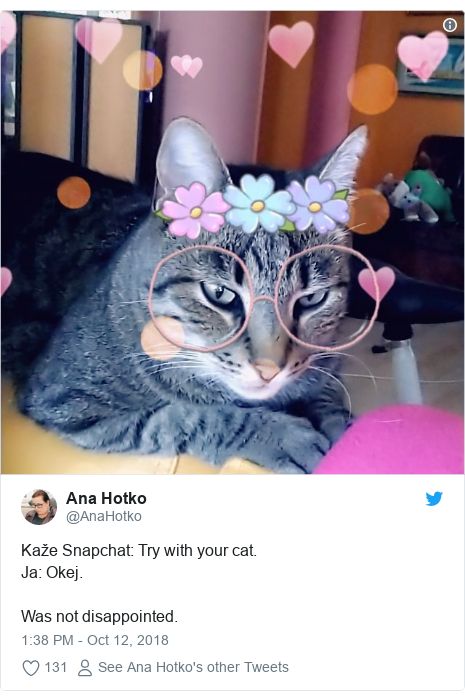 Snapchat adds selfie filters for cats - BBC News