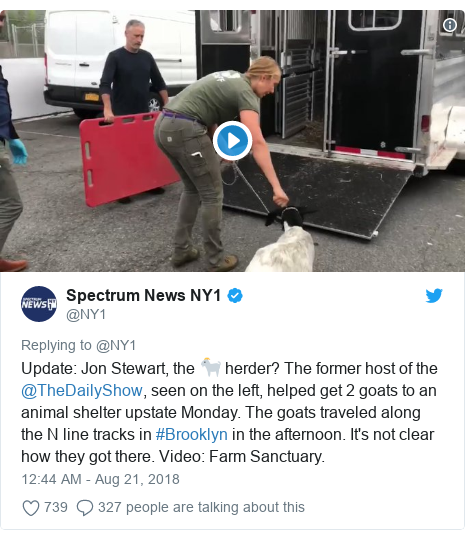 Comedian Jon Stewart rescues goats from New York subway tracks - BBC News