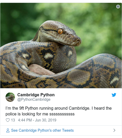 Snake on loose in Cambridge is 'risk to small animals' - BBC News