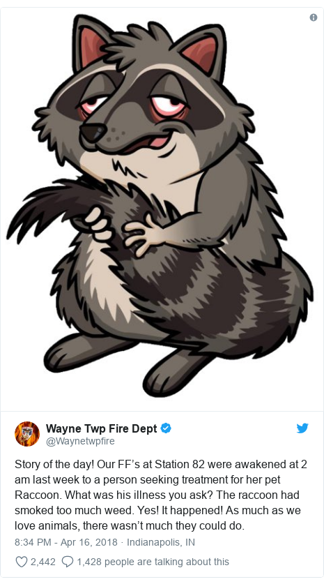 Woman asks firefighters to help 'stoned' raccoon - BBC News