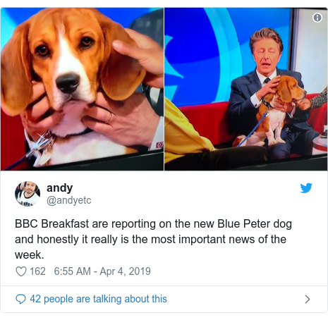 Blue Peter dog: Beagle-basset hound Henry joins the show - BBC News