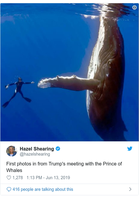 Donald Trump: US president in 'Prince of Whales' Twitter error - BBC News