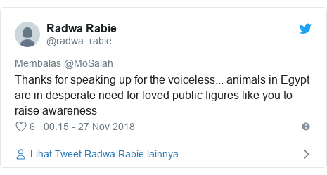 Khawatir dijadikan santapan, Mo Salah menentang rencana ekspor anjing ...