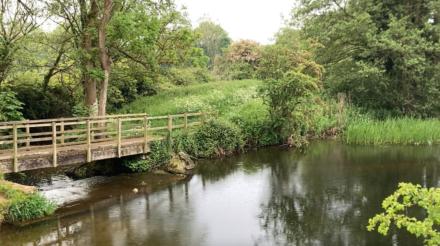 Plan aims to secure quality of Suffolk's River Deben - BBC News