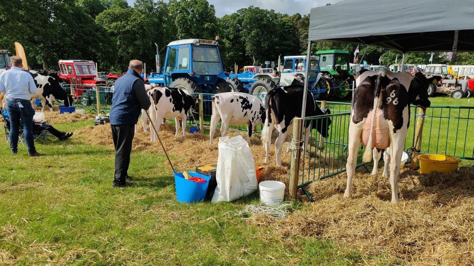 Skelton Show puts up big screen for England-Switzerland game - BBC News