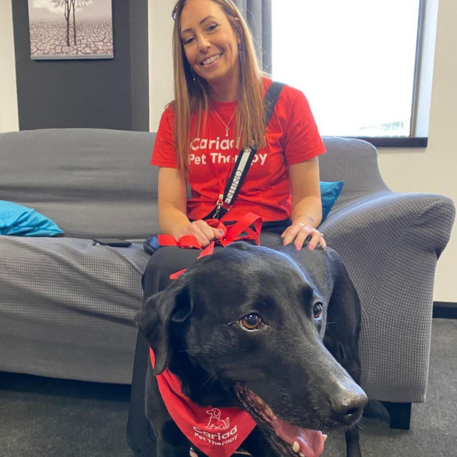 Bryan Adams gets therapy dog visit before gig - BBC News