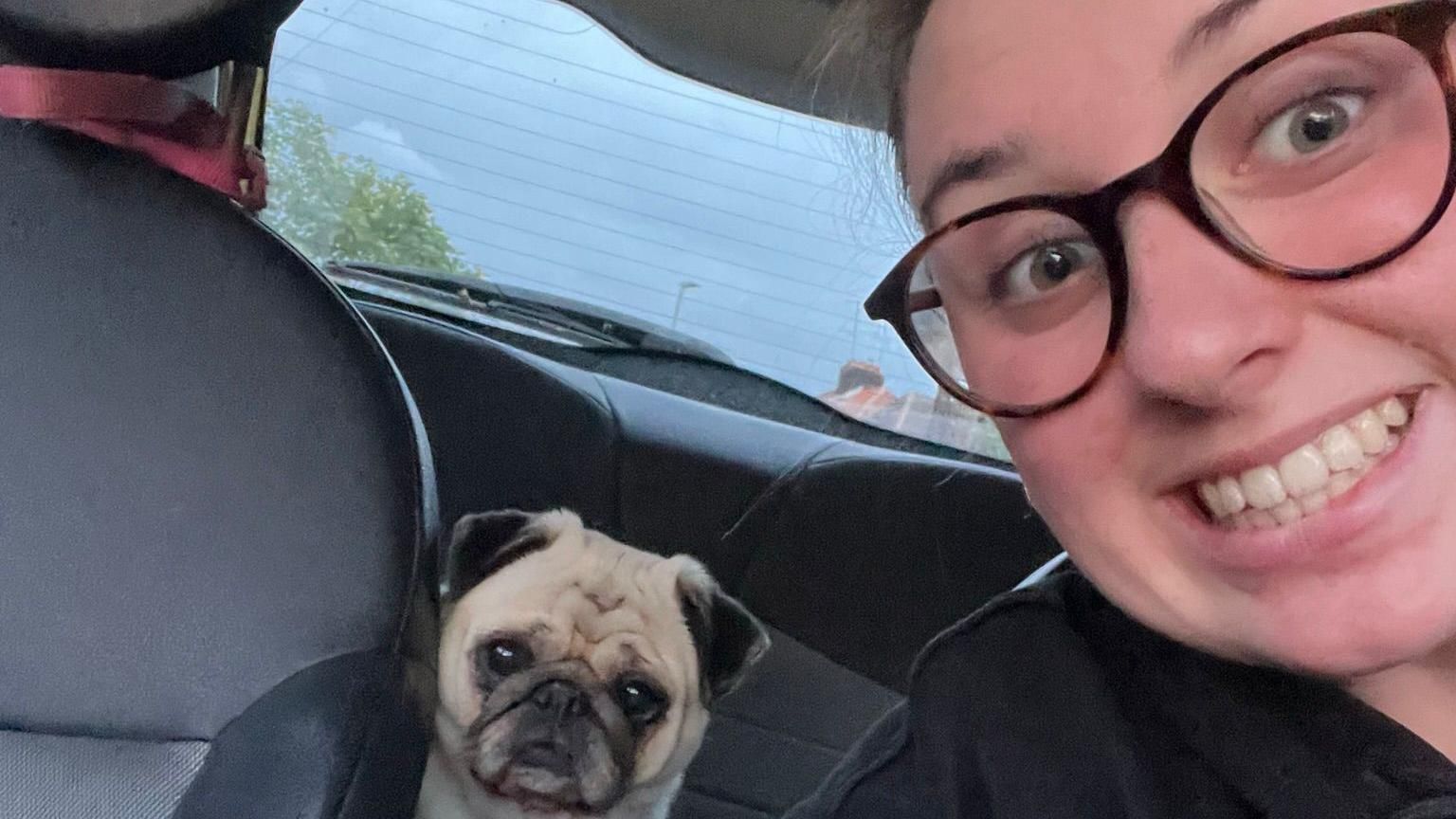 Ipswich pug with rare brain disease 'spins in circles' - BBC News