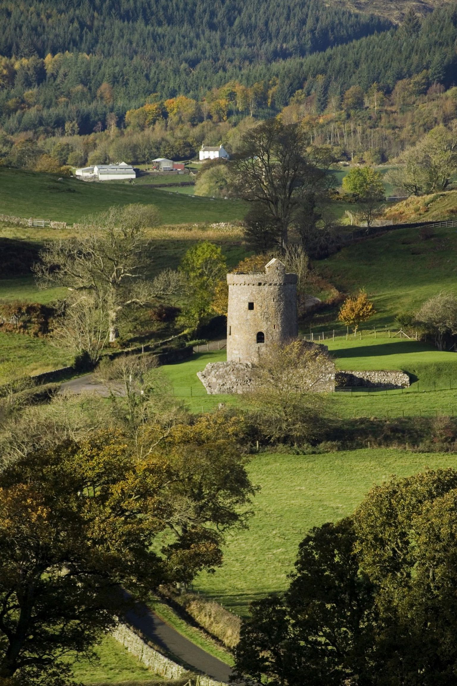In pictures: Capturing the glory of Galloway - BBC News