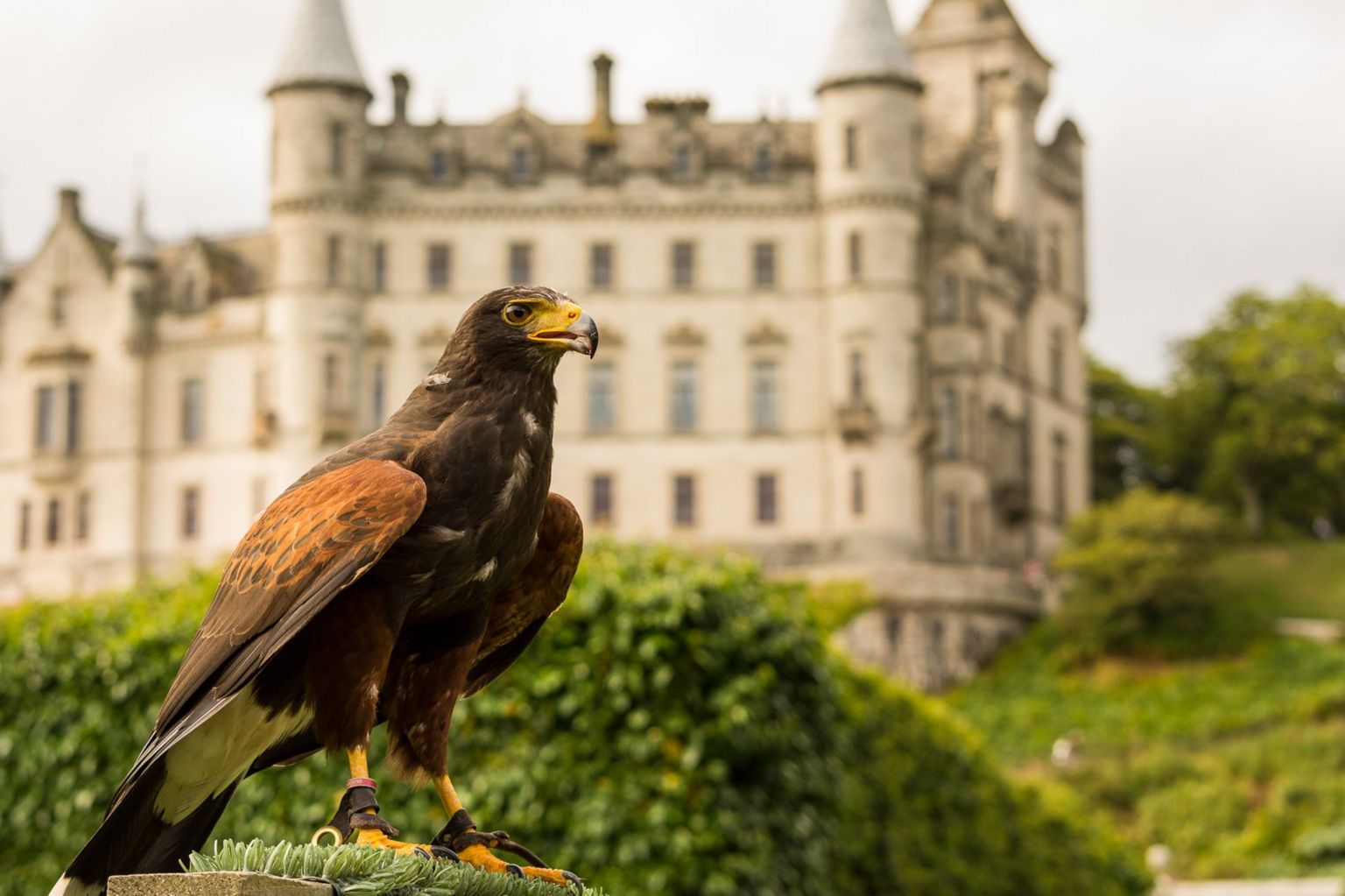 Your pictures of Scotland: 2 - 9 September - BBC News