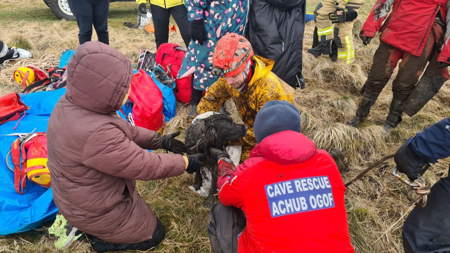 Tîm achub yn tynnu ci o dwll yn y ddaear - BBC Cymru Fyw