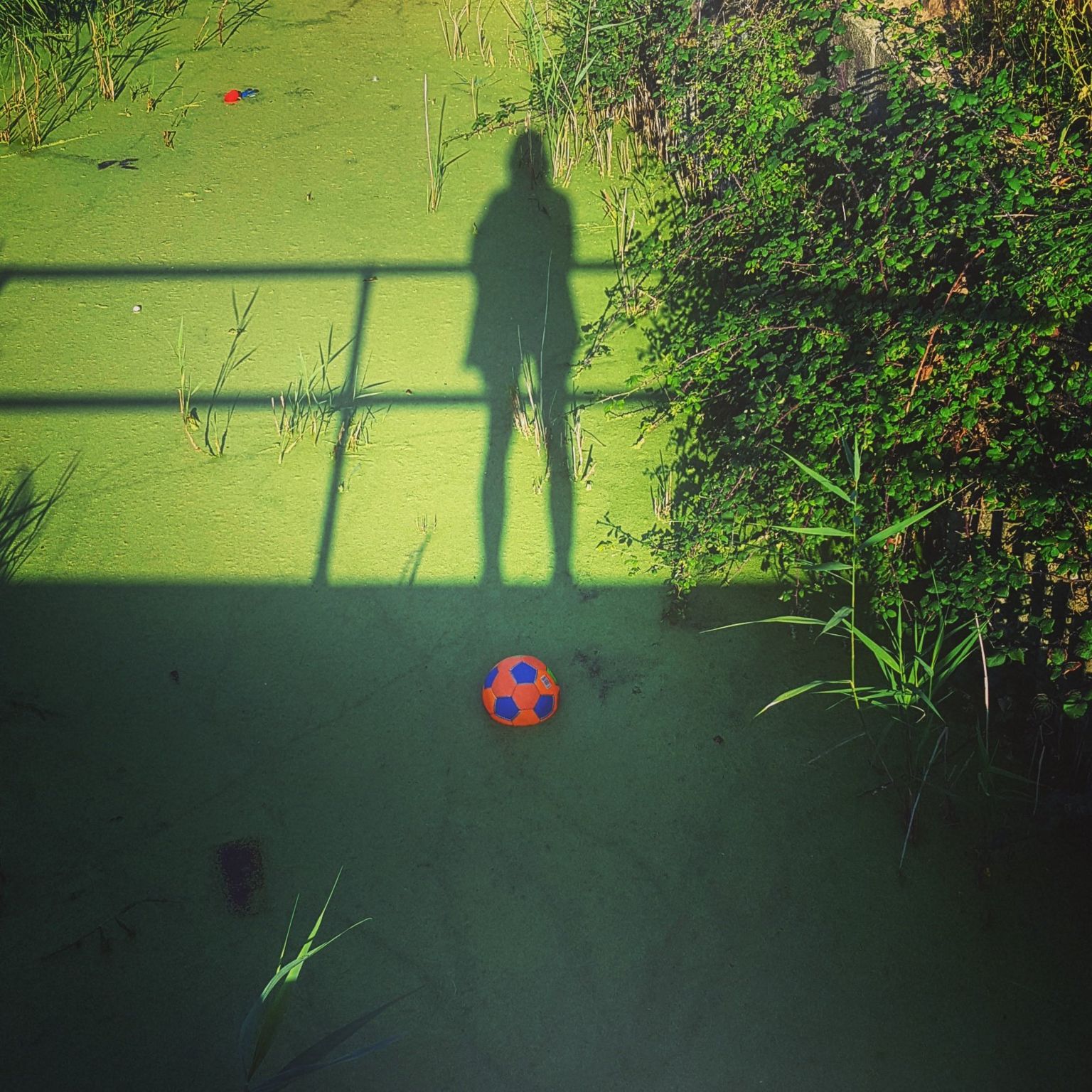 Your pictures: Shadows - BBC News