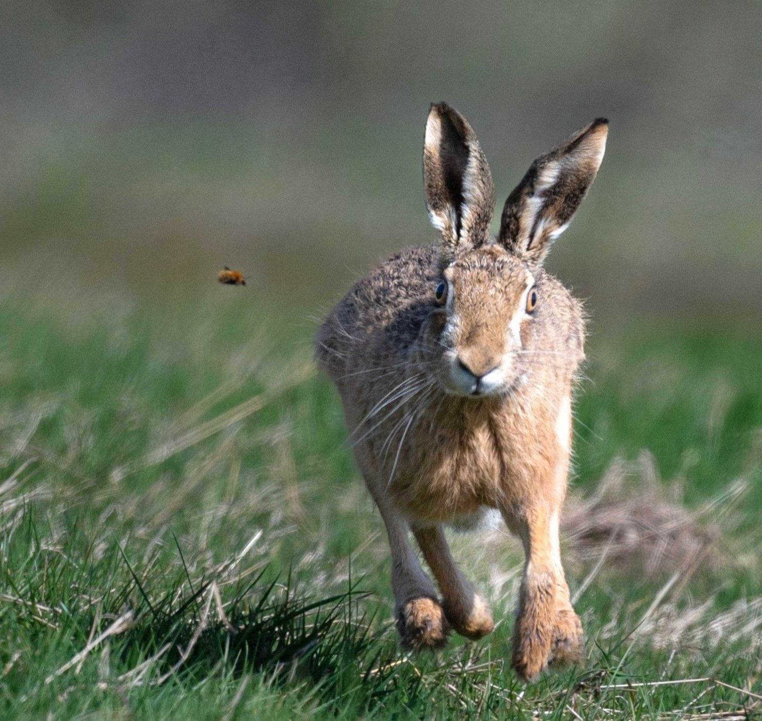Your pictures of Scotland: Photographs from around the country - BBC News