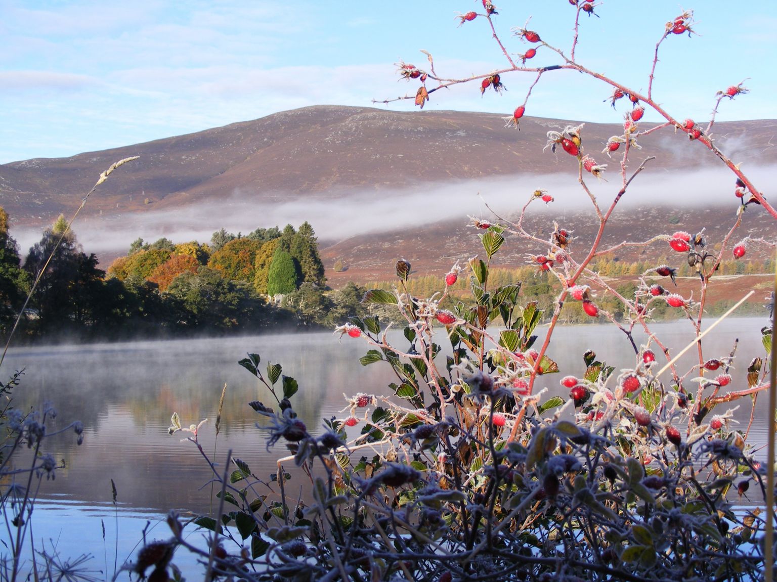 Your pictures of Scotland: 21-28 October - BBC News