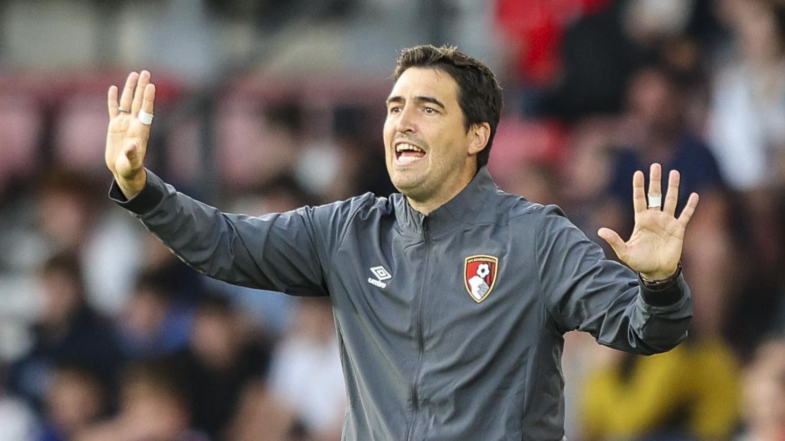 Bournemouth: Replacing Gary O'Neil 'is a brave call' - Pat Nevin - BBC ...