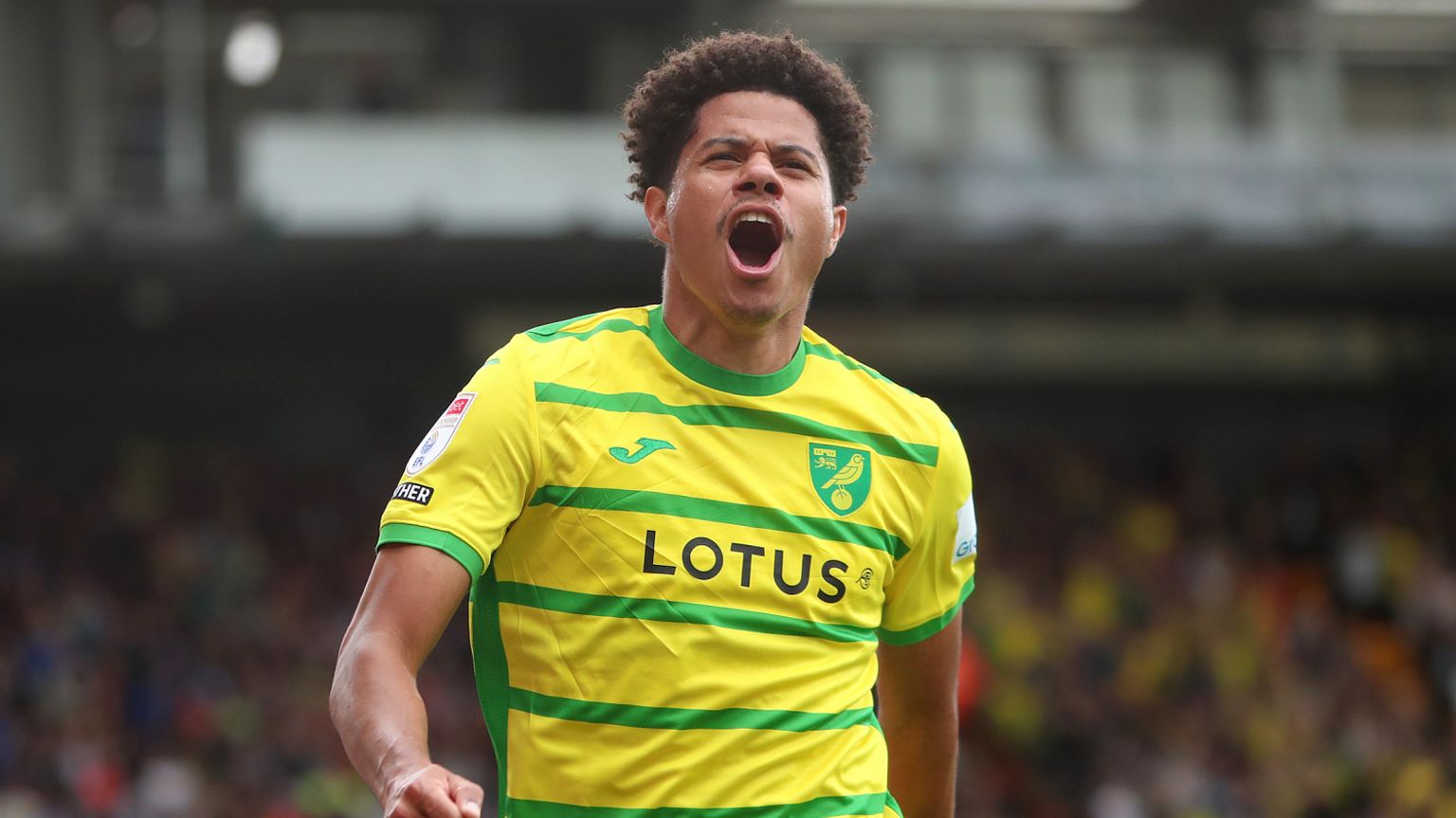 The Goreham Check: solution - BBC Sport