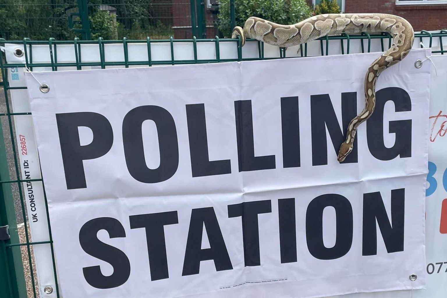 General election 2024: Check out these dogs at polling stations - BBC ...