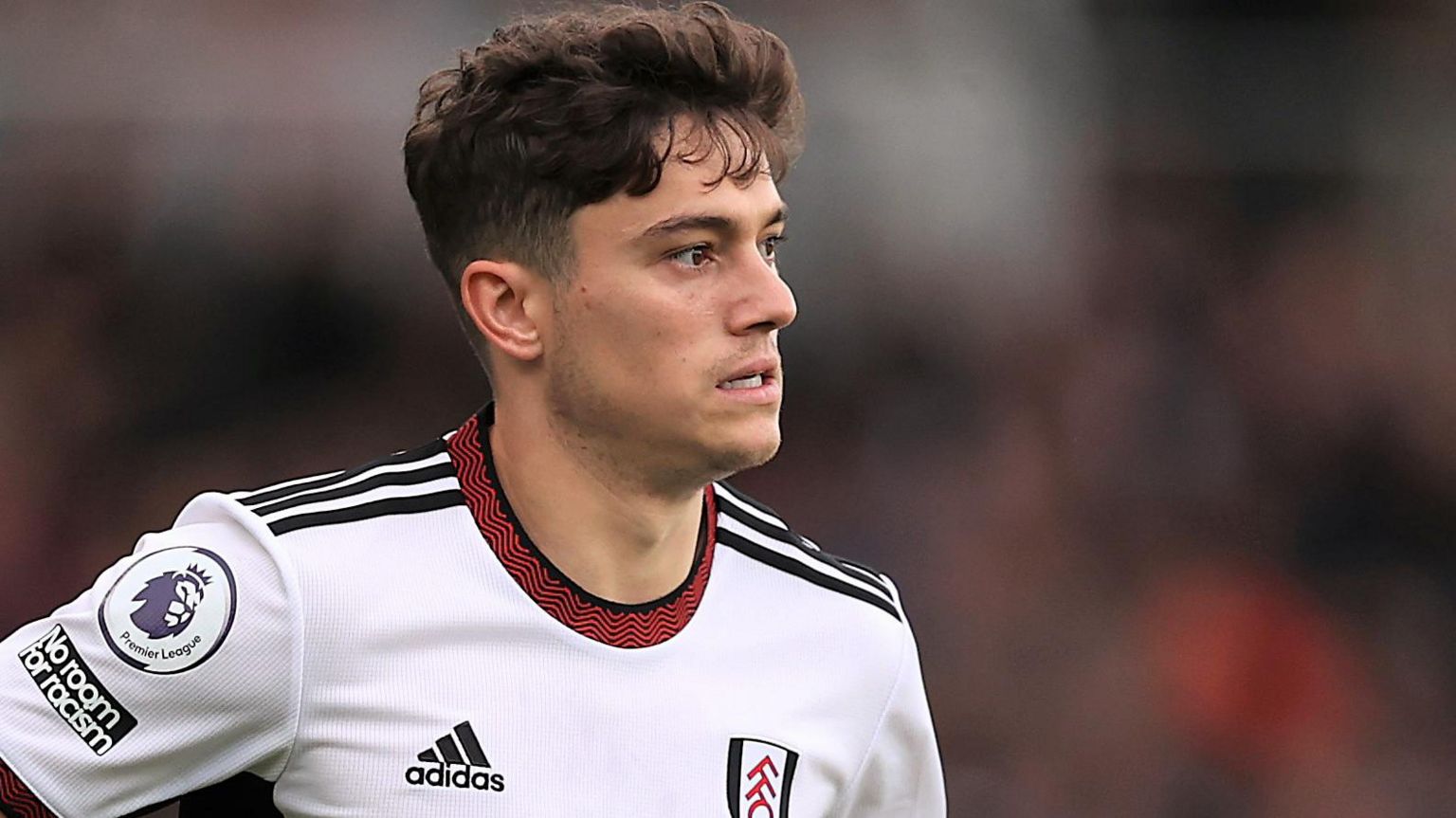Fulham: Which player is playing for his future? - BBC Sport