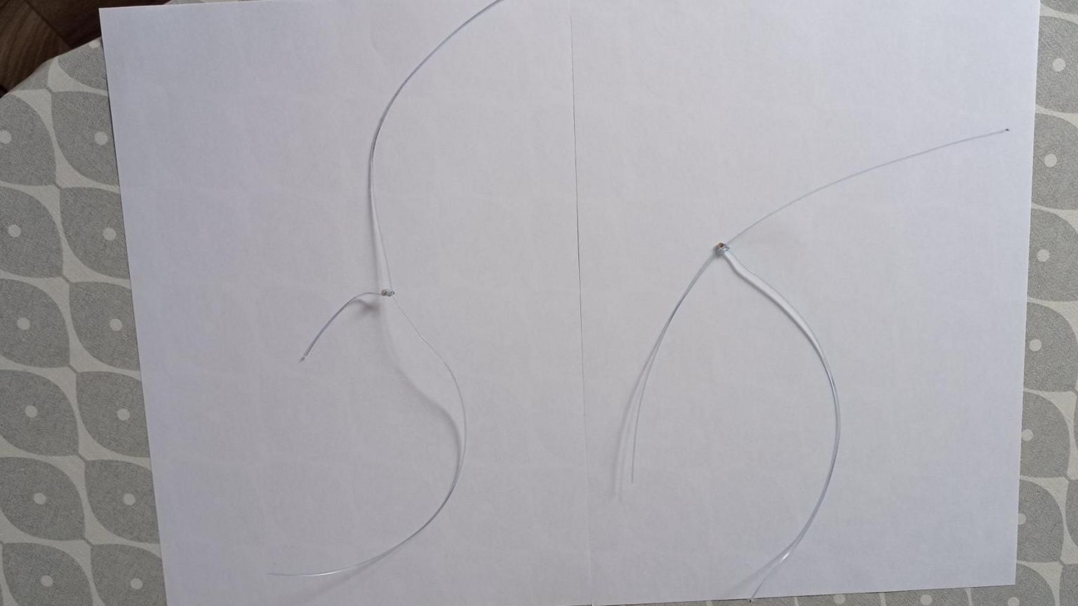 Cats caught in illegal snare leads to £400 vet bill - BBC News