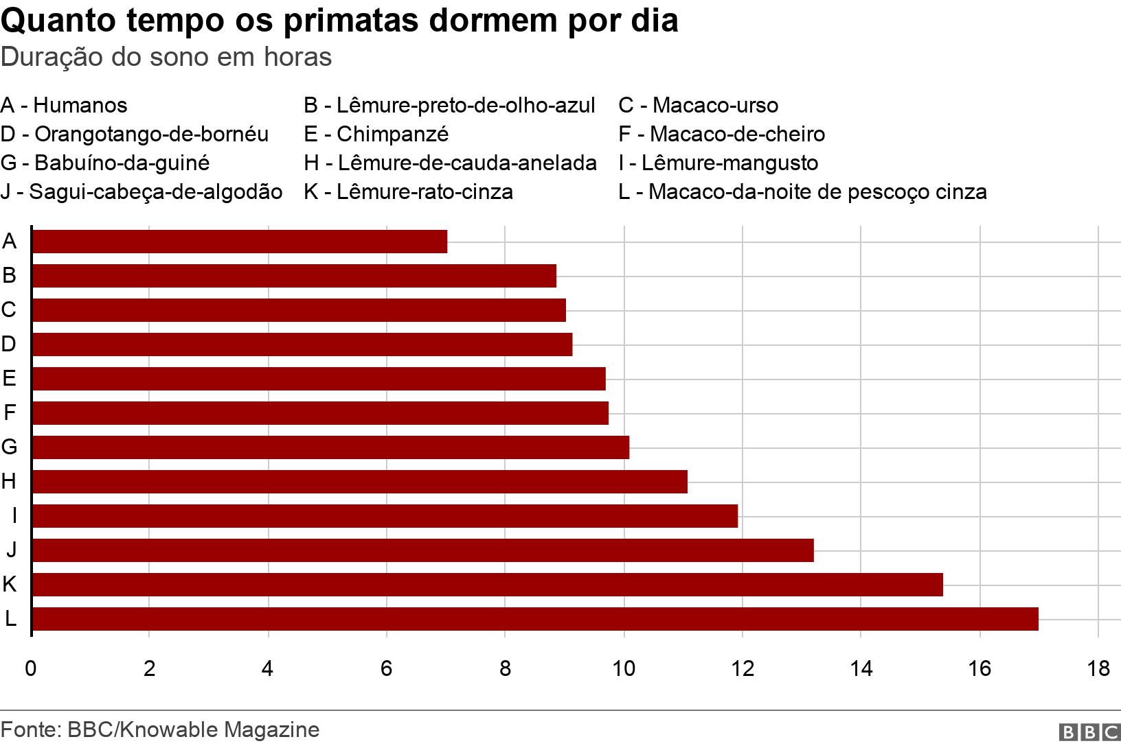 Grafico De Evolucao Dos Primatas