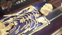 A closer look at '3.67m-year-old' skeleton - BBC News
