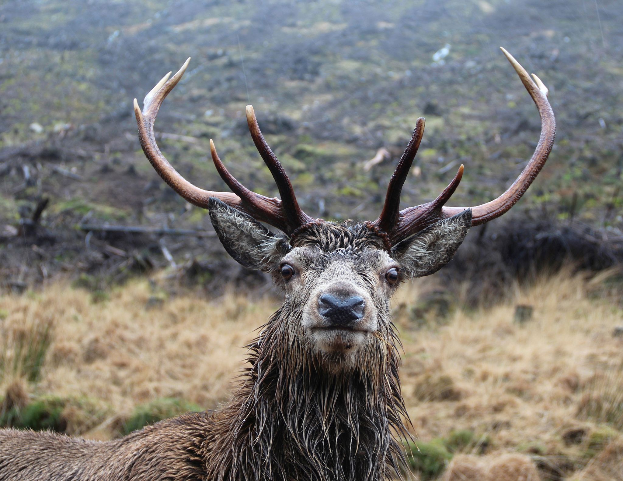 Your pictures of Scotland - BBC News
