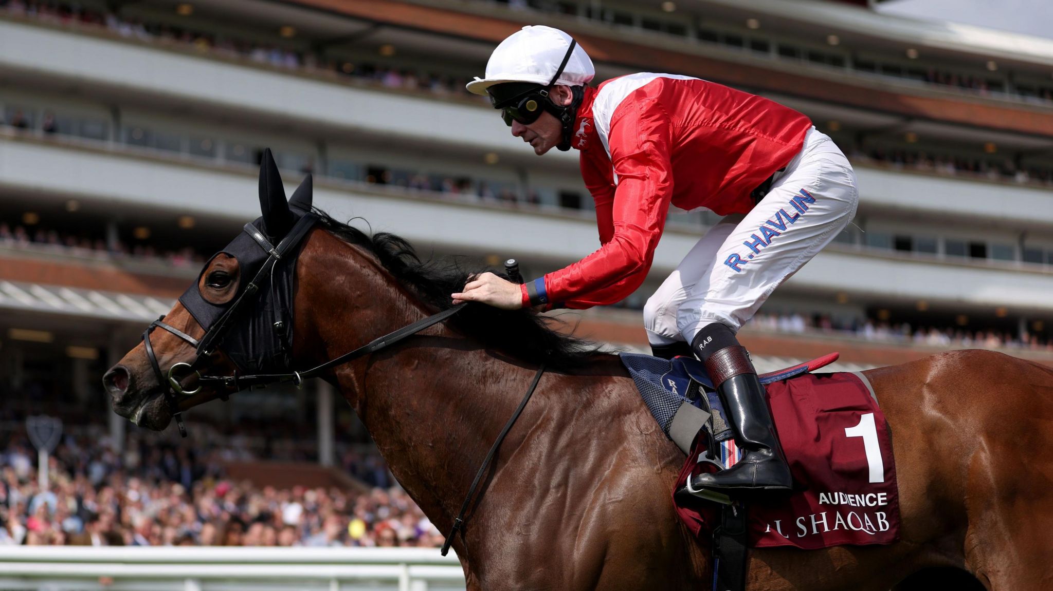 Lockinge Stakes: Audience a shock winner at Newbury - BBC Sport