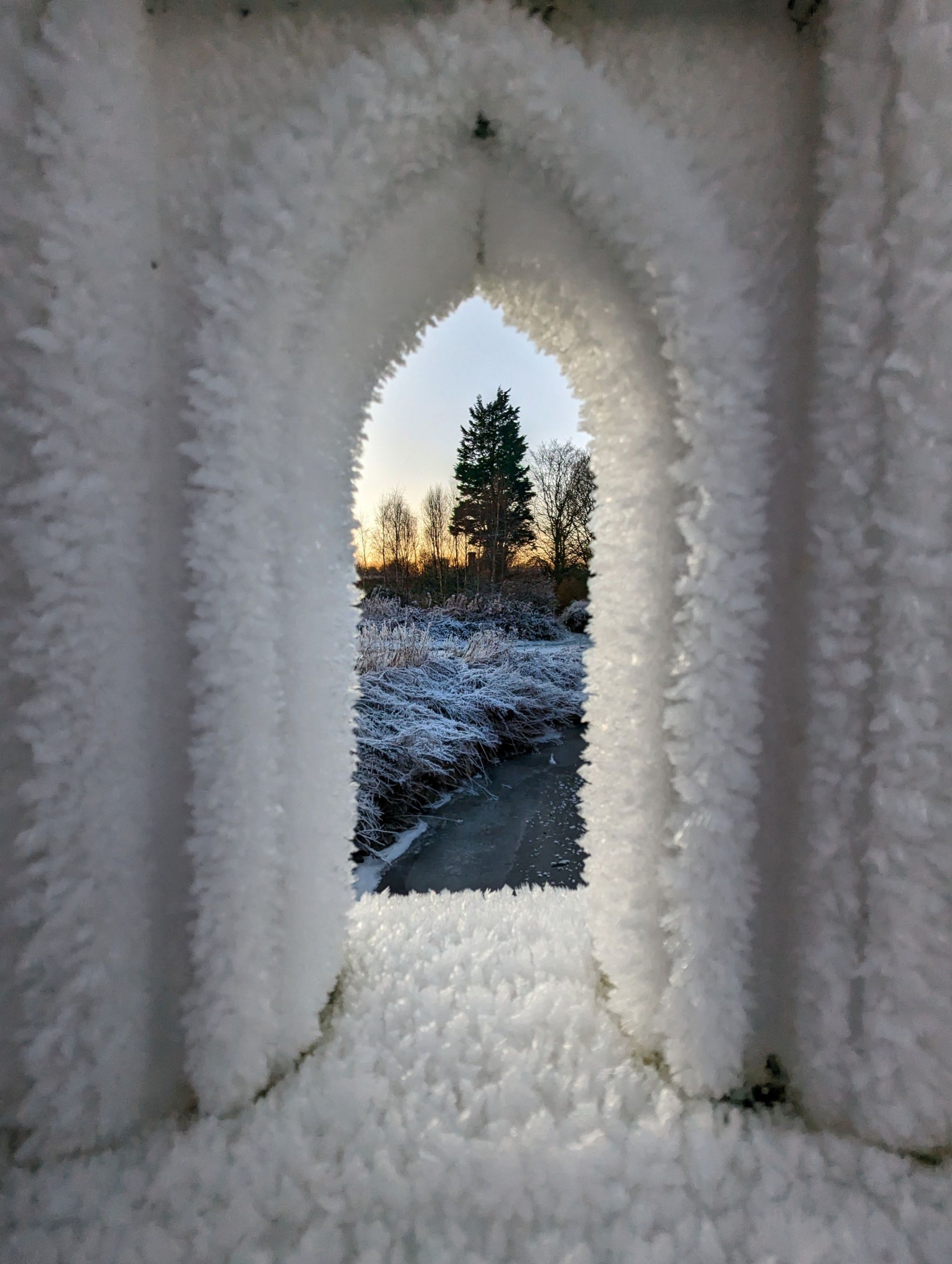 Your pictures of Scotland: 15 - 22 December - BBC News