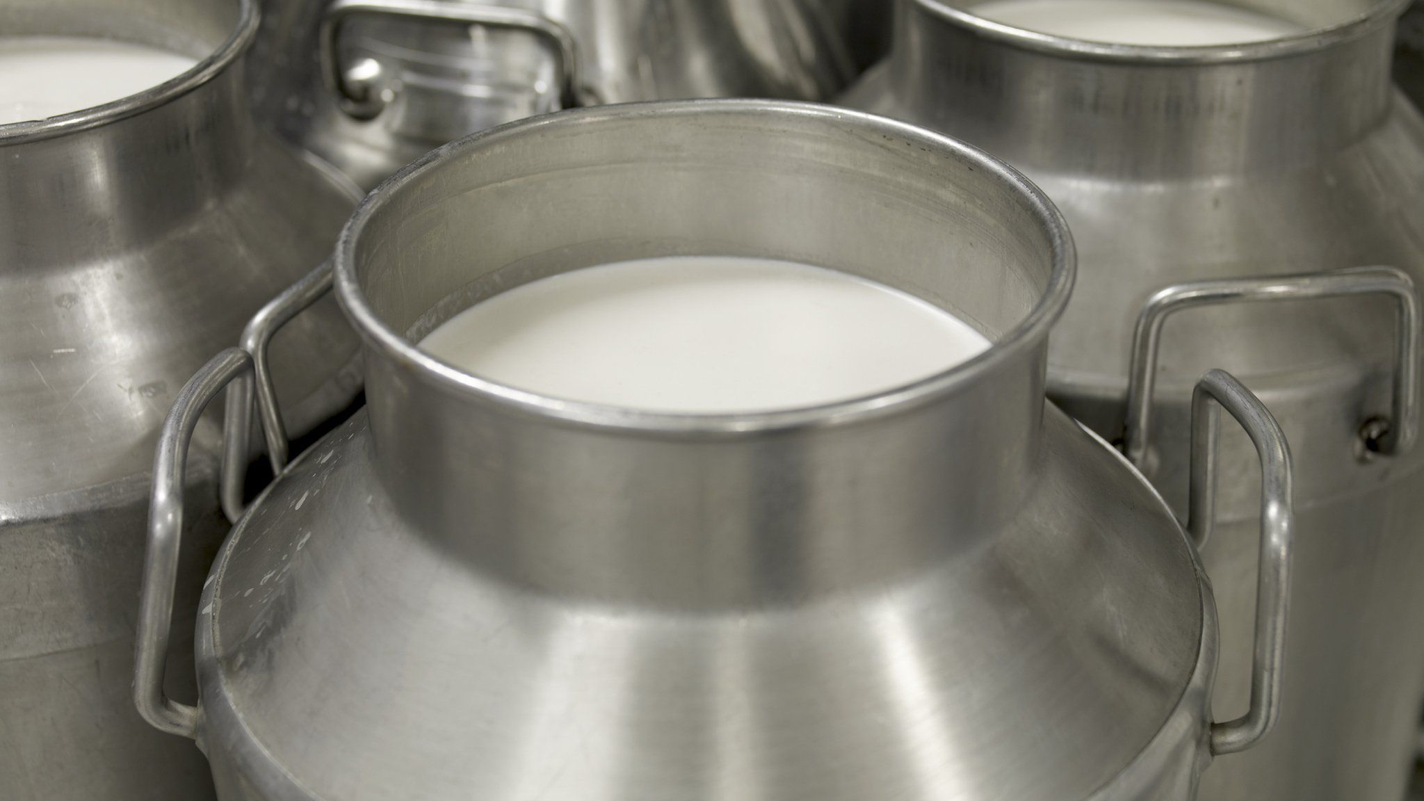 Lakeland and LacPatrick merger gets boardroom backing - BBC News