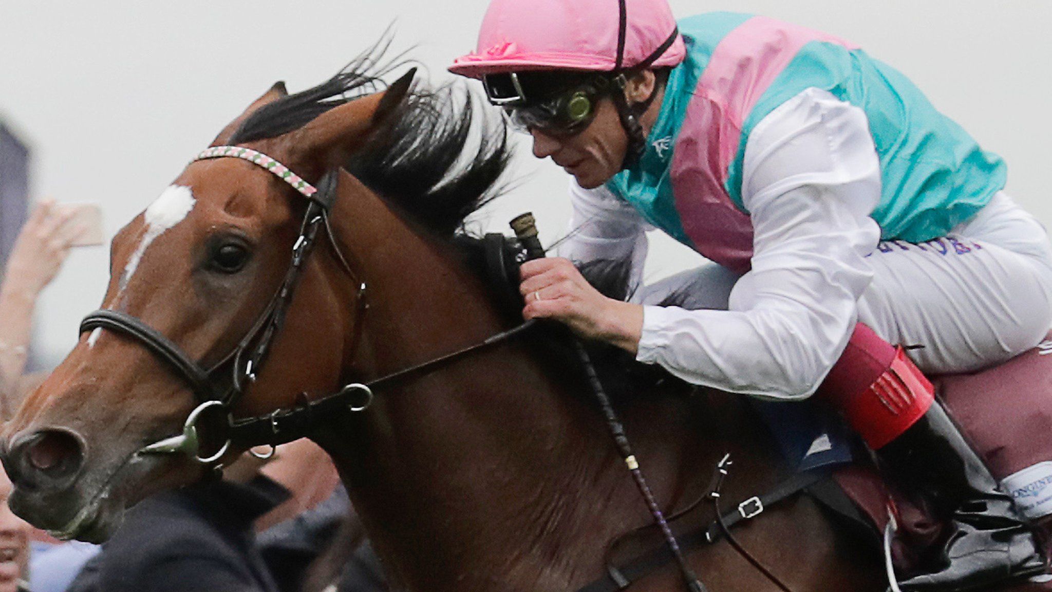 Cartier Racing Awards 2017: Enable named Horse of the Year - BBC Sport