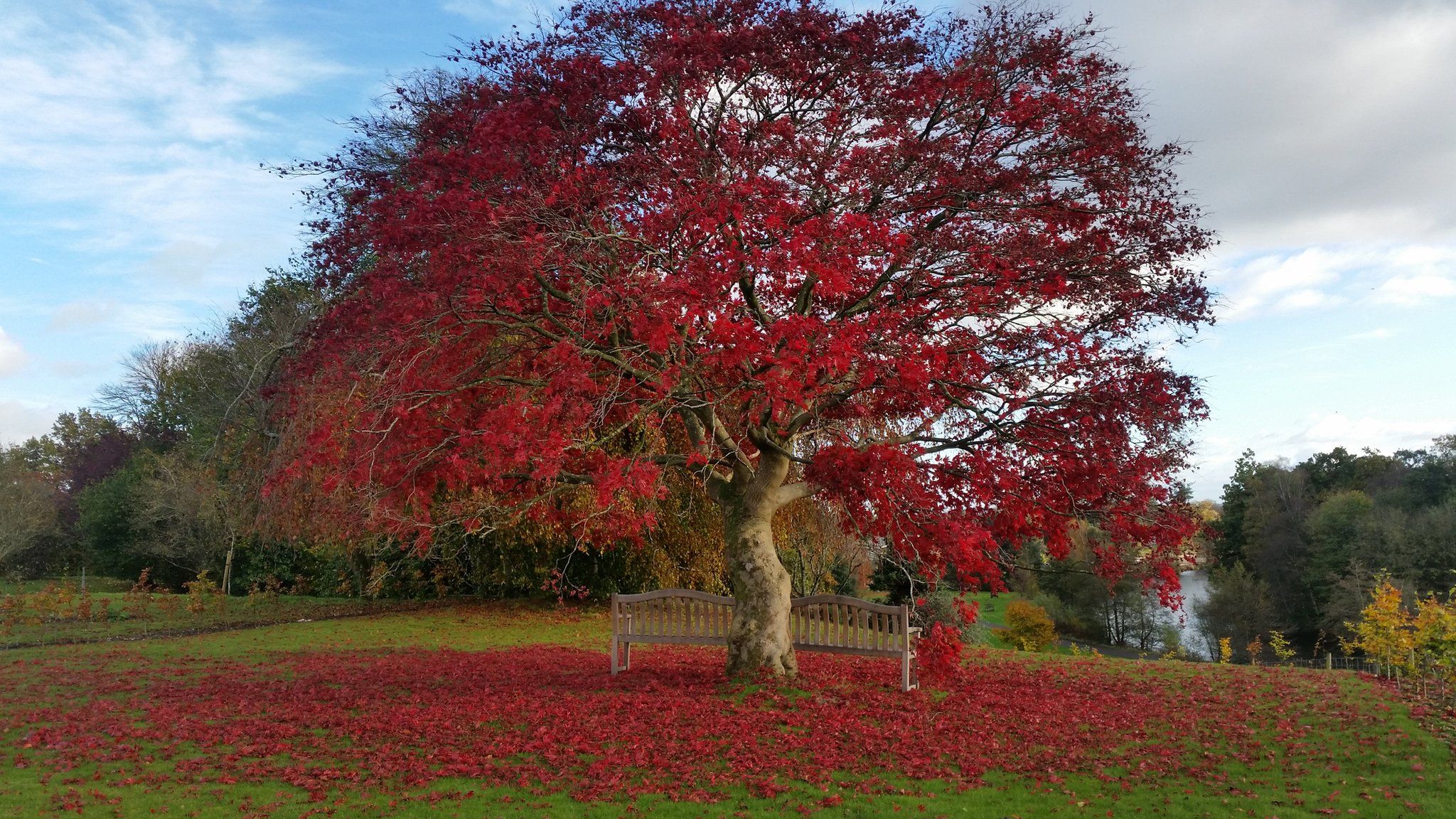 Your pictures of Scotland - BBC News