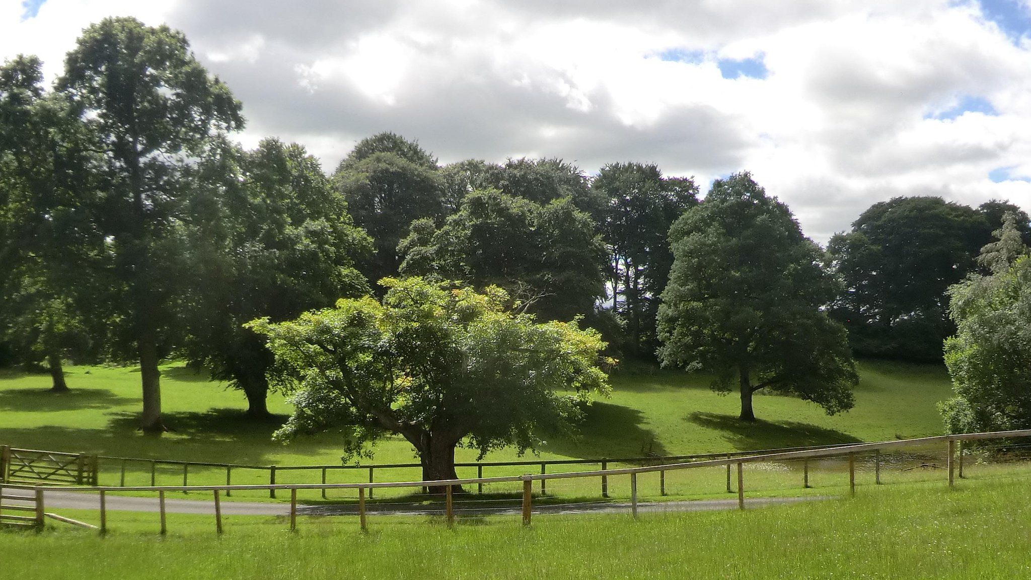 Lowood Estate purchase decision remains 'robust' - BBC News