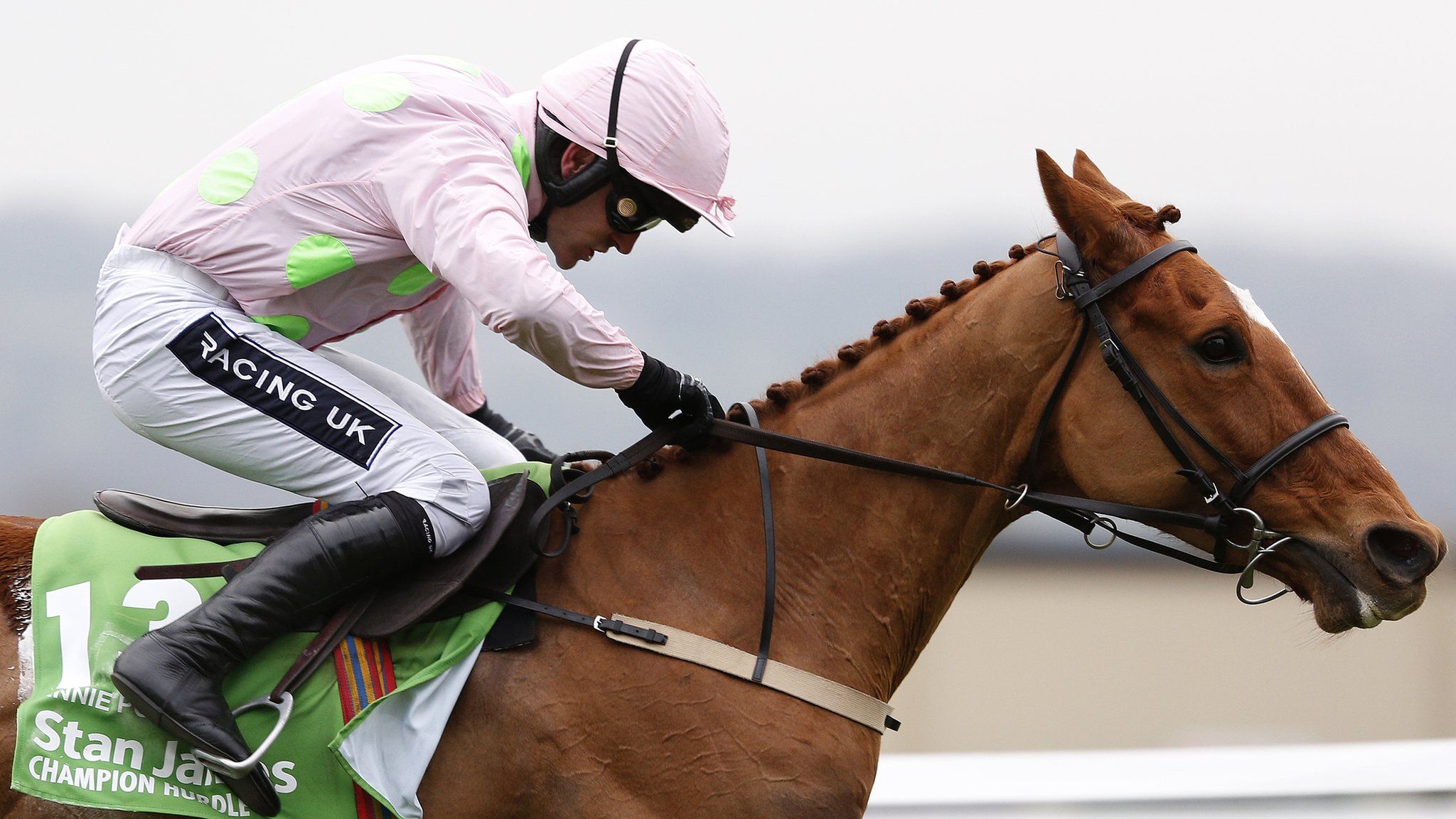 Annie Power: 2016 Cheltenham Champion Hurdle winner retired - BBC Sport