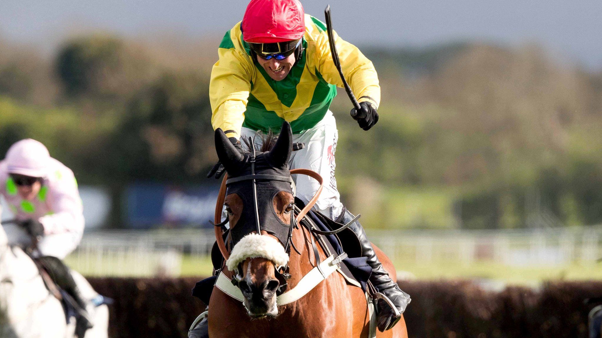 Cheltenham Festival: Fox Norton to miss rest of season with leg injury ...
